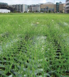 GENUINE Terram GrassProtecta (2m x 20m) 10mm - Contractors Yard
