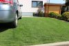 CellPave 40 – Black – Contractors Yard